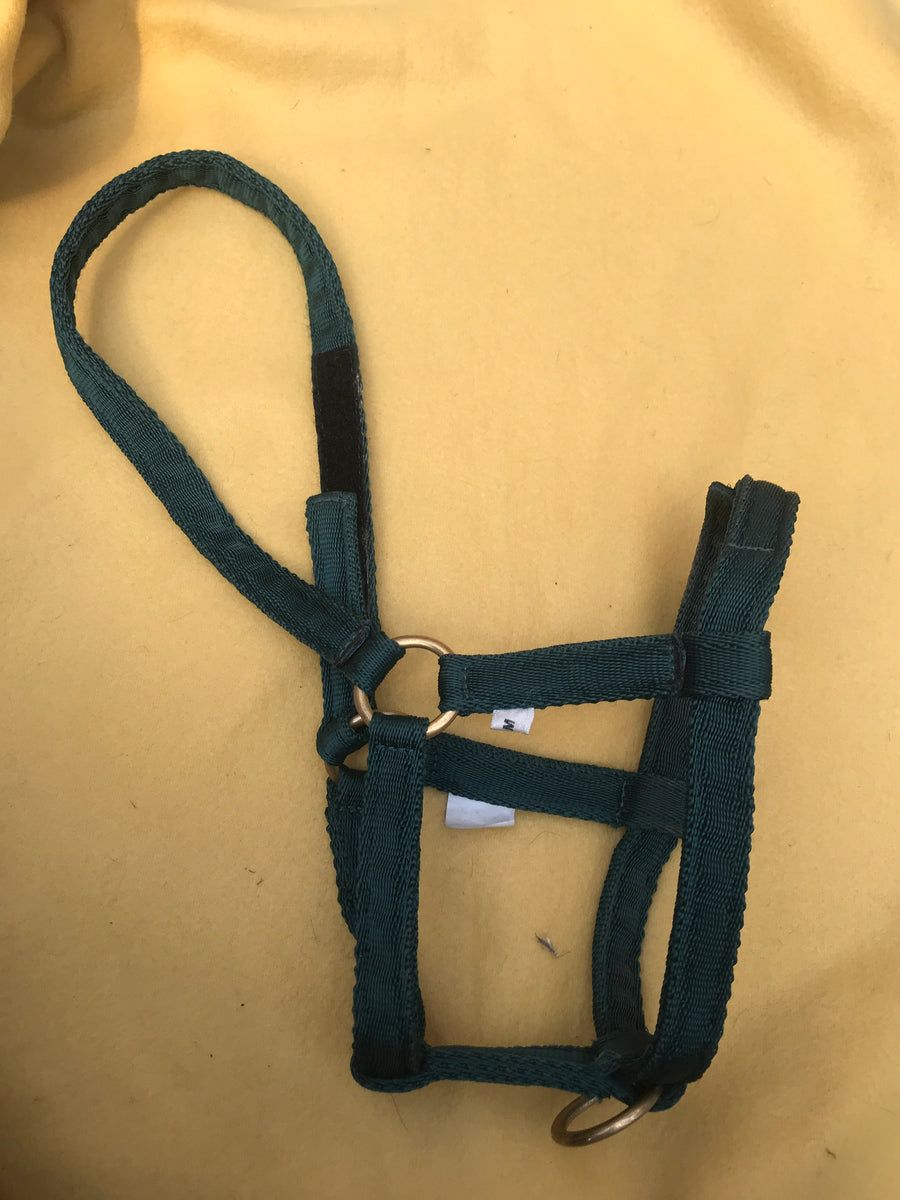 Foal and Shetland Head collars – Onthehoof