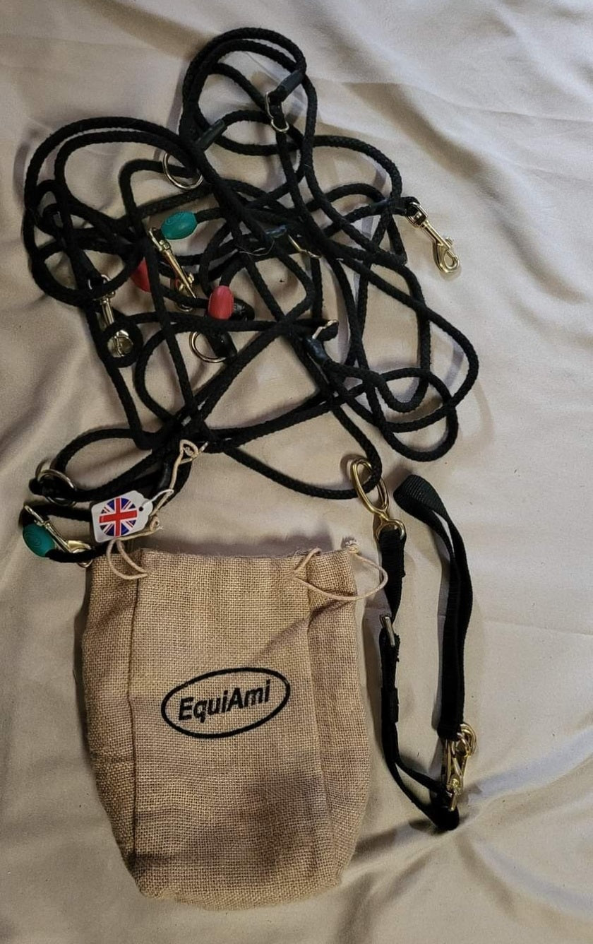 EquiAmi Lunge Aid – Onthehoof